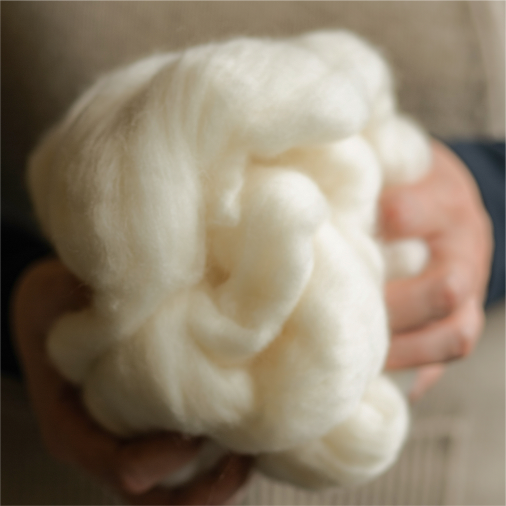 Everything you need to know about our Merino Wool