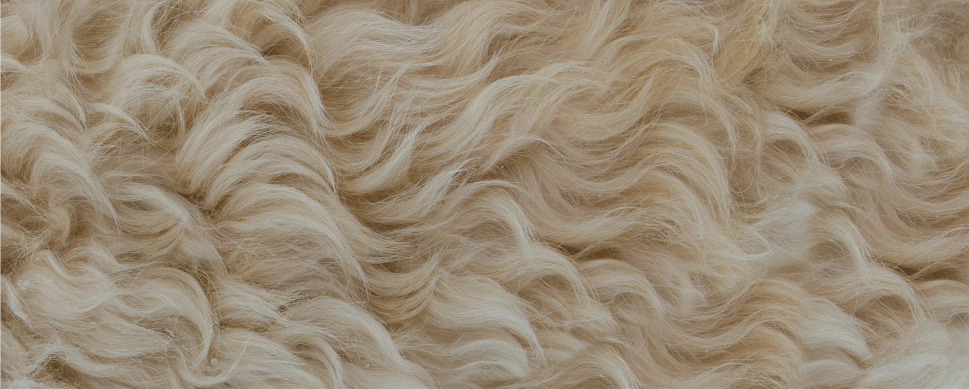 Cosa certifica il Responsible Wool Standard? (RWS)